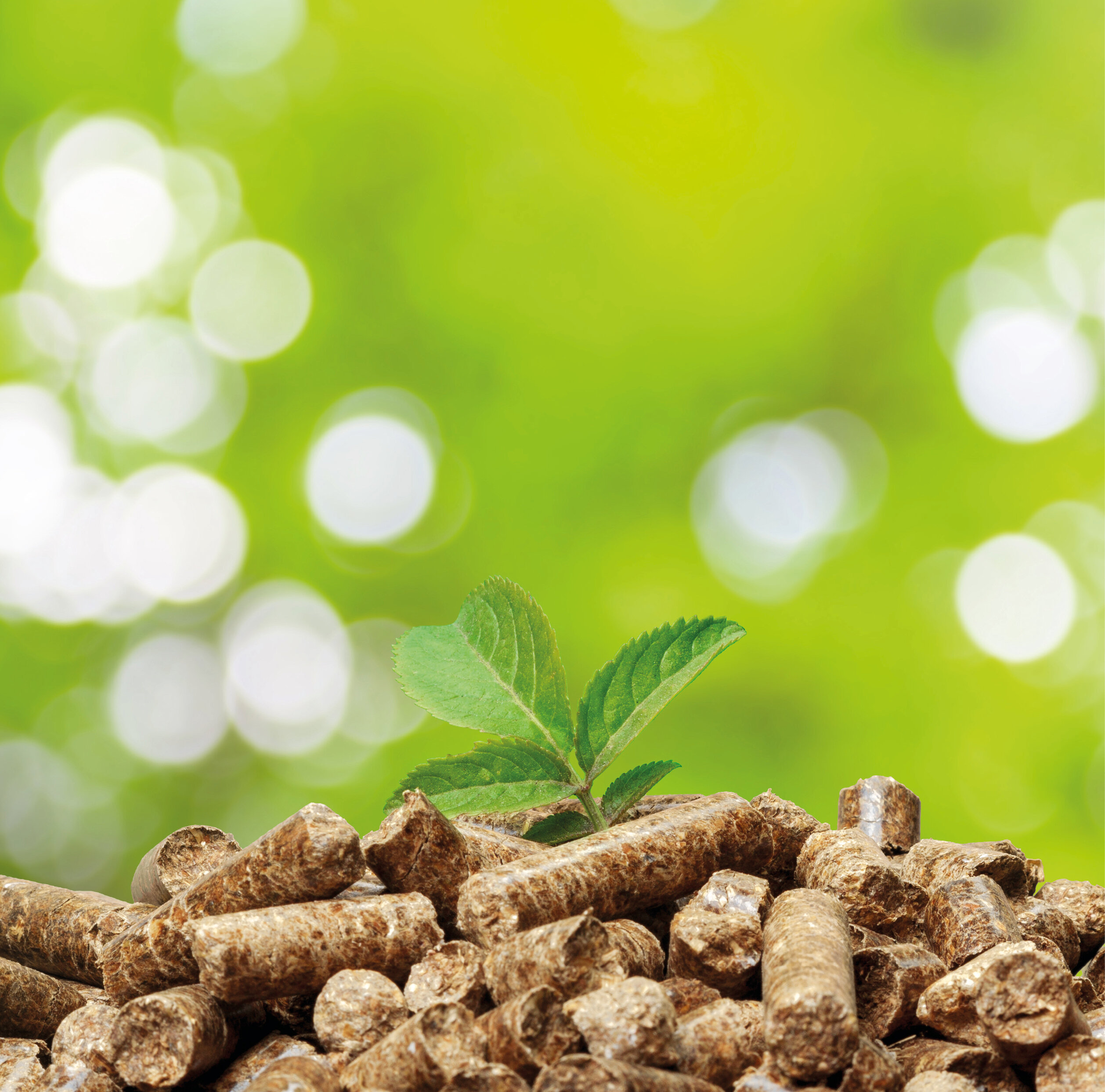 A Sustainable and Green Future for OMR Moerdijk Biomass Fermentation Plant