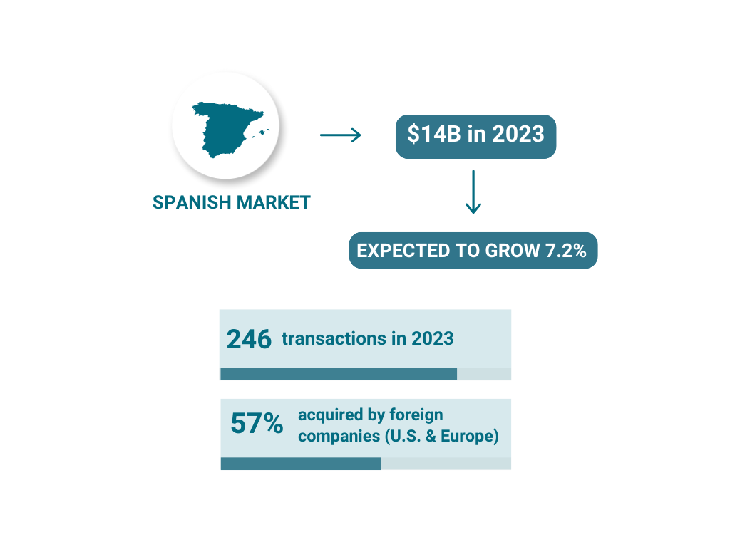 Business Software & Services in Spain: Key Areas of Interest for ...
